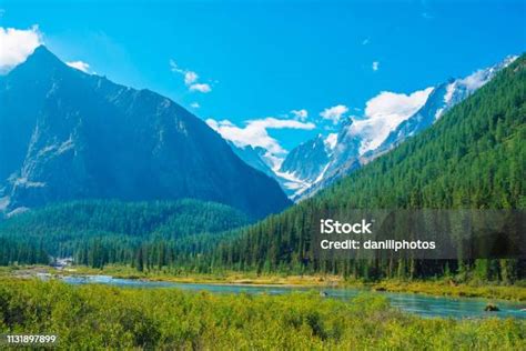 아름 다운 빙하 전에 계곡에 있는 마운틴 크릭 침 엽 수림 산 뒤에 눈 덮인 바위 푸른 하늘 아래 거 대 한 눈 덮인 산 위에 거 대 한 구름 고원 자연의 대기 풍경 0명에