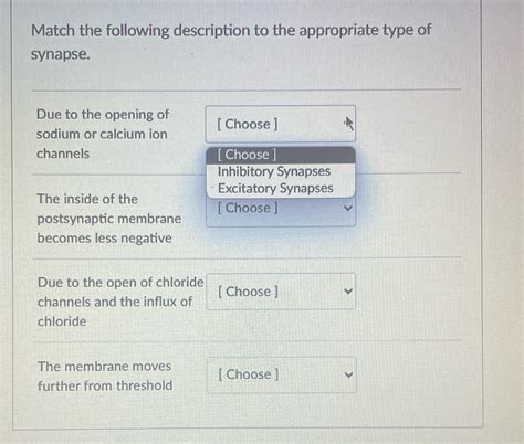 [solved] Match The Following Description To The Appropriate Type Of Synapse Course Hero