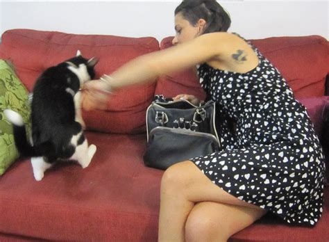 SYqFpu Is An Animated GIF Image On Make A GIF