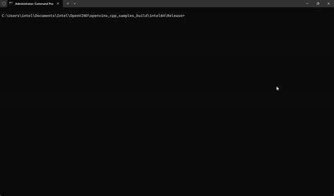 Unlocking Llm Inferencing With Lora Using Openvino™ Genai Zhuo Wu