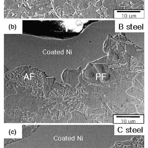 Sem Micrographs Of The Cross Sectional Area Beneath The Cleavage Download Scientific Diagram