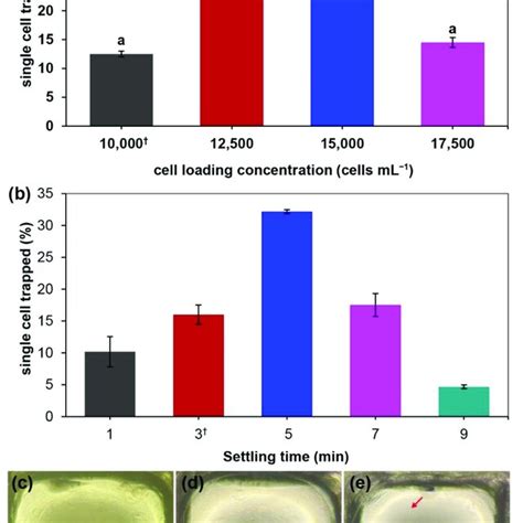 Average Single Cell Trapping Using The Mbm Microfluidic Device With Download Scientific Diagram