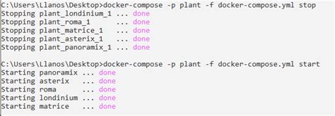 Docker Configuration File For The Network Structure Corresponding To
