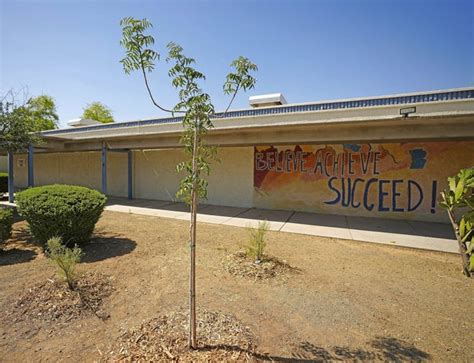 Legislators Finally Fund A Program To Plant Trees At Schools