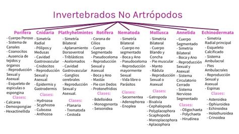 Concept Map Boxes Archived