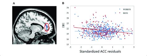 Linear Regression Of Bmi To Left Anterior Cingulate Cortex Acc Download Scientific Diagram