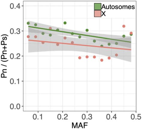The Effect Of Sex Linkage On Synonymous And Nonsynonymous Polymorphism