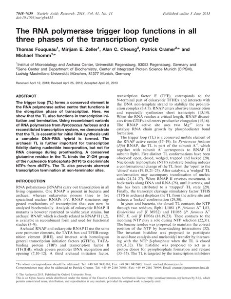 Pdf The Rna Polymerase Trigger Loop Functions In All Three Phases Of