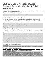 Lab Notebook Guide Docx BIOL Lab Notebook Guide