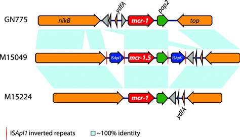 Genetic Environment Of Mcr 1 Variants Genes And Their Corresponding