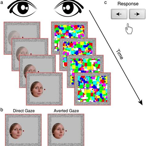 Schematic Description Of A Trial In Experiment 2 A Stimulus Download Scientific Diagram