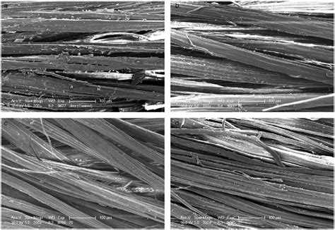 A Sem Photograph Of Control Jute Fibers B Sem Photograph Of 1