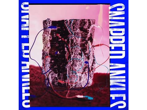 Snapped Ankles Snapped Ankles Forest Of Your Problems Cd Rock