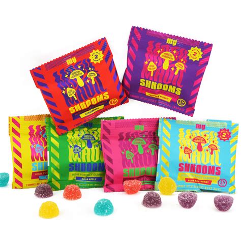 Mini Magic Sampler Bundle 12 Ct My Magic Shrooms