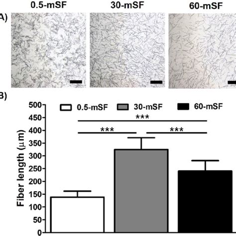 A Observation Of Msf By Optical Microscopy Scale Bar 100 μm B Download Scientific