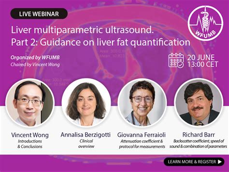 Webinar Liver Multiparametric Ultrasound Part 2 Guidance On Liver
