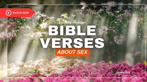 Bible Verses About Sex Sacred Love God Designed