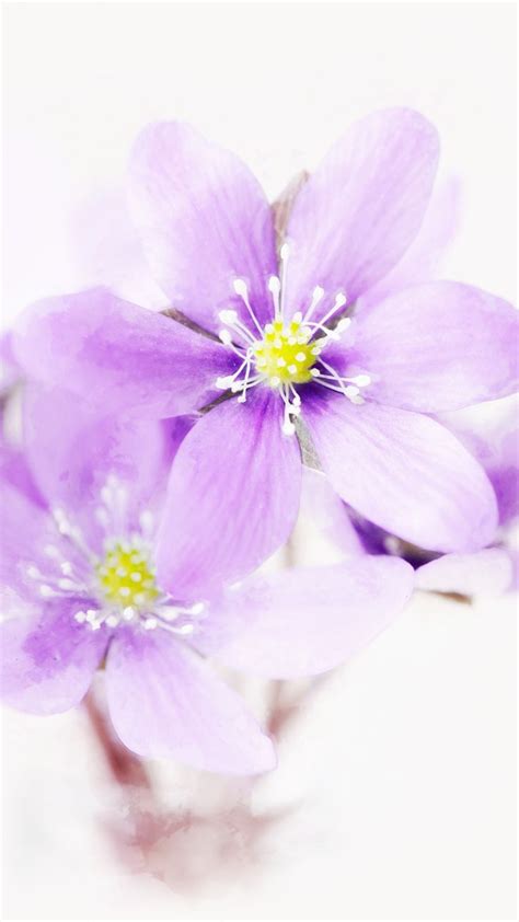 Фон для текста в Инстаграм весенний фон Красивый Stories фон Background Gemstone Pendant