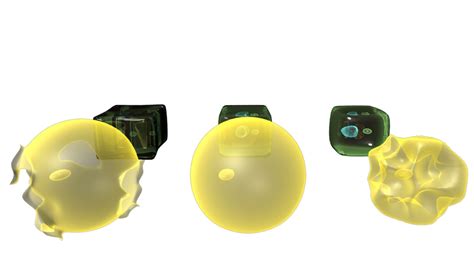 Plasmolysis Hypertonic Cytolysis 3d Obj