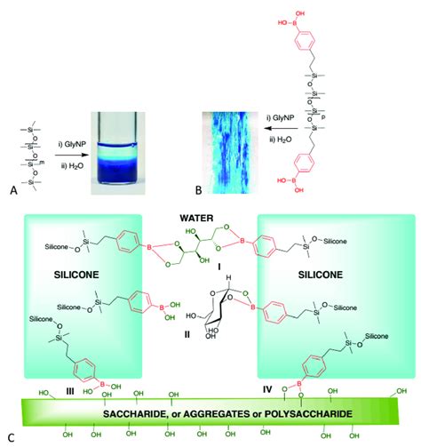 Synthesis Of Silicone Elastomers By Cross Linking Of Phenylborate Download Scientific Diagram