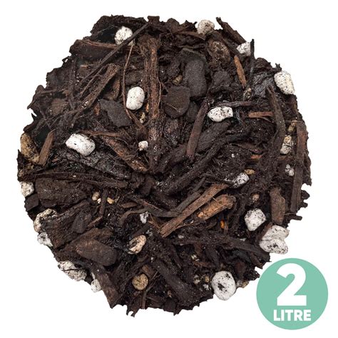 Bio Leaf Succulent And Jungle Cacti Mix 2 Litre Lovethatleaf