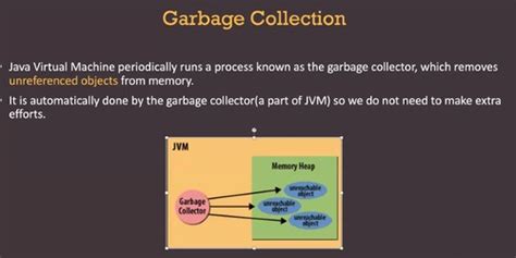 Garbage Collector Flashcards Quizlet