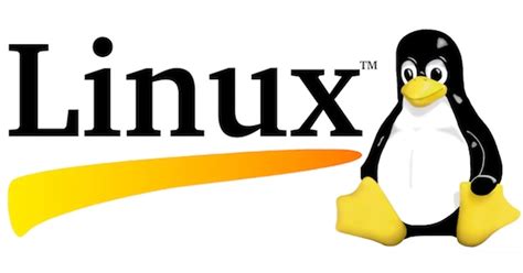Linux 616 Ya Está Disponible Con Mejoras En Rendimiento Seguridad Y