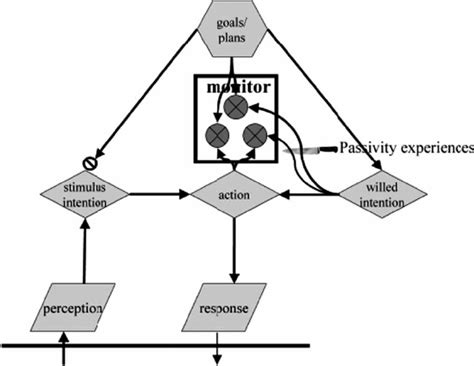 How Passivity Experiences Might Be Explained Actions Occur But
