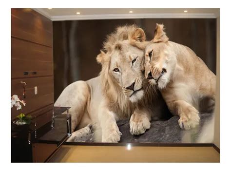 Papel De Parede Animais Casal Leão Leoa Leões M² Anm539 Parcelamento
