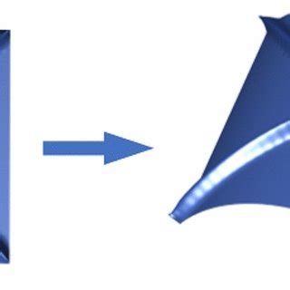 Illustration Of Parametric Mapping Download Scientific Diagram