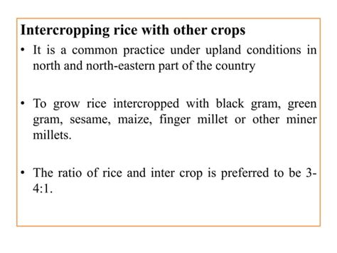 Rice Based Cropping System Pptx Agriculture Industries