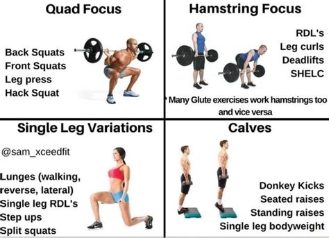 Quad Focus Hamstring Focus Rdls Back Front Squats Squats Of Leg Curls