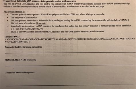Solved Transcribe Translate DNA Sequence Into A Protein Chegg