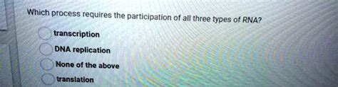 Solved Which Process Requires The Participation Of All Three Types Of Rna Transcription Dna