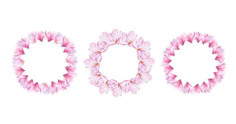 꽃 화환의 삼부작 수채화 원형 프레임 핑크 목련 꽃 포스터 여성의 날 어머니의 날 디자인 장식 생일 증명서 포장지 식물 테두리 템플릿 봉오리 0명에 대한 스톡 벡터 아트 및