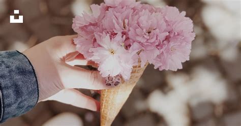 꽃을 들고 있는 사람 사진 Unsplash의 무료 분홍색 이미지