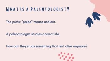 Fossils Slides Presentation By Melissa MacRunnel TPT