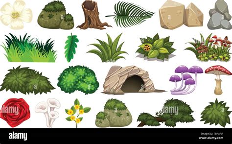 Set Of Nature Objects Illustration Stock Vector Image And Art Alamy