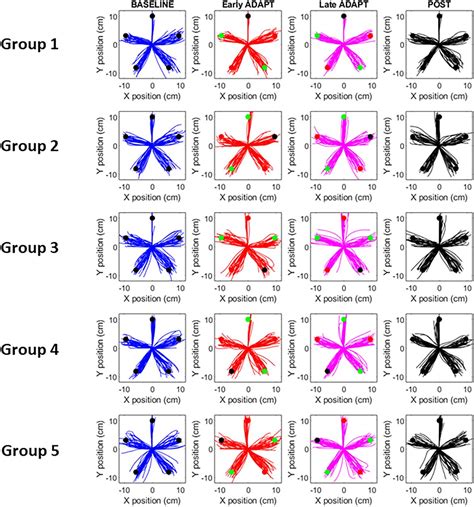 Concurrent Implicit Adaptation To Multiple Opposite Perturbations Eneuro