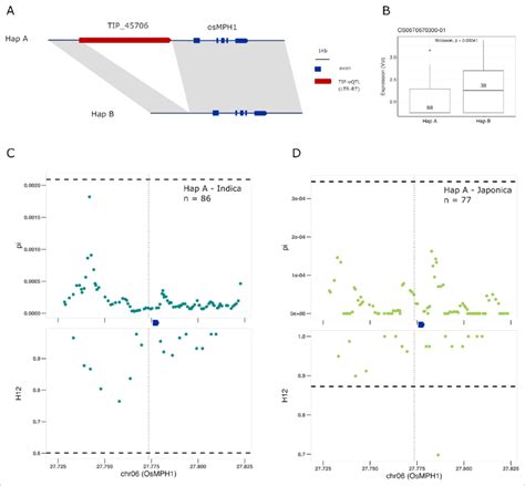Selection On Transposon Insertion Polymorphism Tip Expression