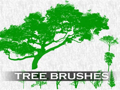 Tree PS Brushes Free Download