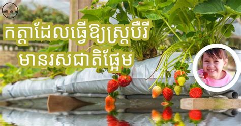 ចំណេះដឹងទូទៅ នាទីកសិកម្ម Kaksekam Time