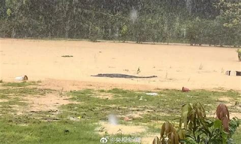 运动会入场式音乐 场式这首乐曲家喻户晓