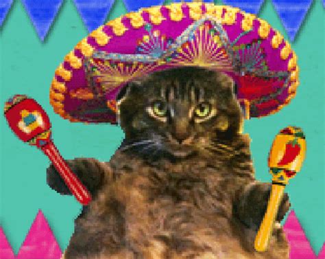 Cinco De Mayo S