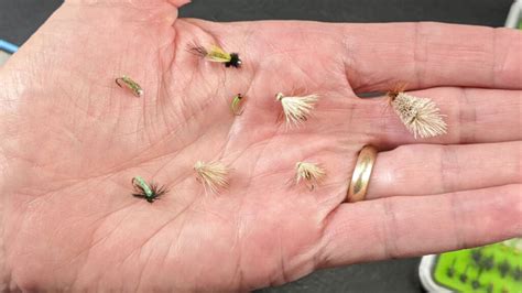 Caddis Nymph Fly Patterns At Renetta Wallace Blog