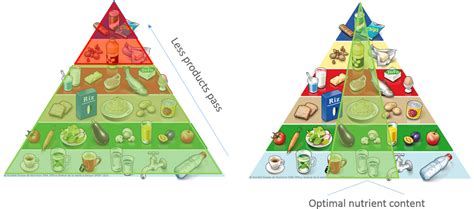 Nutrient Profiling For Product Reformulation Public Health Impact And Benefits For The Consumer