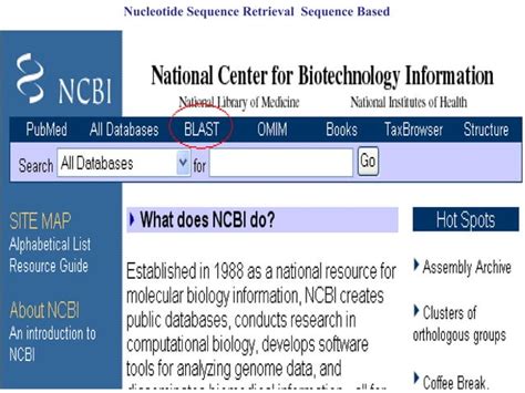 Biological Databases Ppt