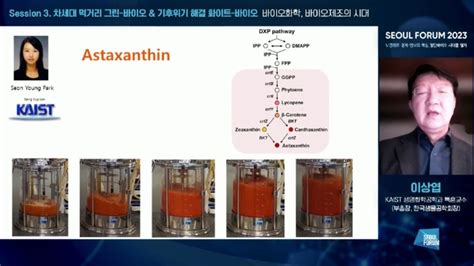 2023 서울포럼 생중계 스트리밍코리아 레퍼런스 소개 스트리밍코리아