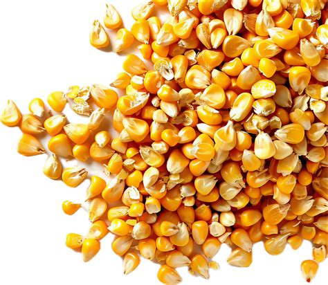 Ai Generated Vibrant Yellow Corn Kernels Cascade Png 41177210 Png
