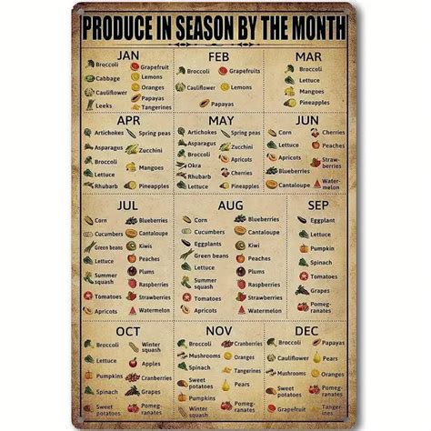 1pc 계절 과일 기호 야채 지식 금속 주석 기호 빈티지 식물 야채 차트 포스터 월별 기호로 계절에 생산 음 Temu Korea